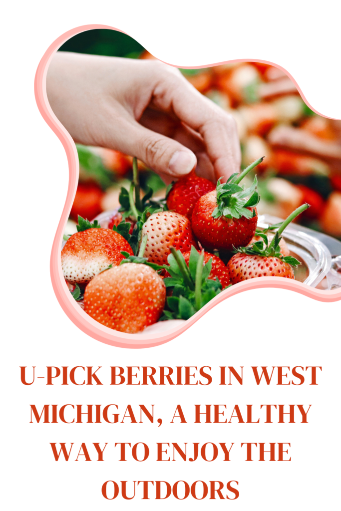 U-Pick Berries in West Michigan, A Healthy Way to Enjoy the Outdoors ...